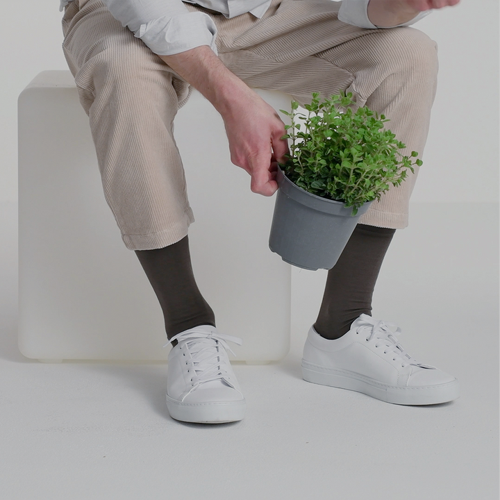 Your online shop for socks since 1999 | BLACKSOCKS